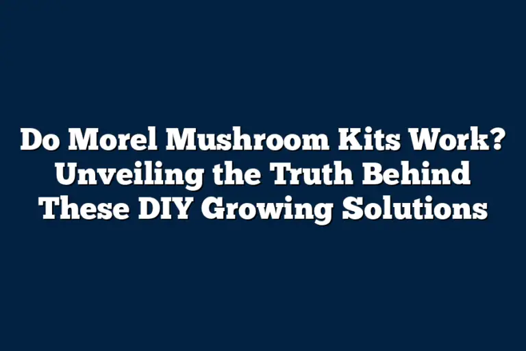 Do Morel Mushroom Kits Work? Unveiling the Truth Behind These DIY ...